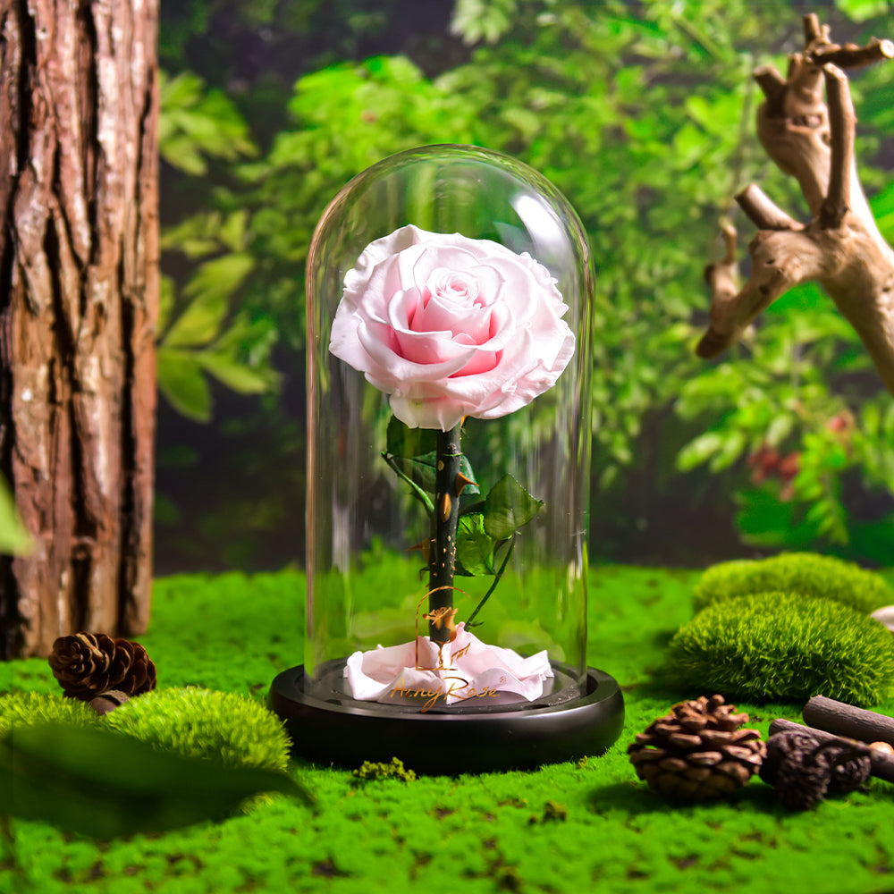 Pink Forever Rose in a Glass Dome Gift For Her – AinyRose