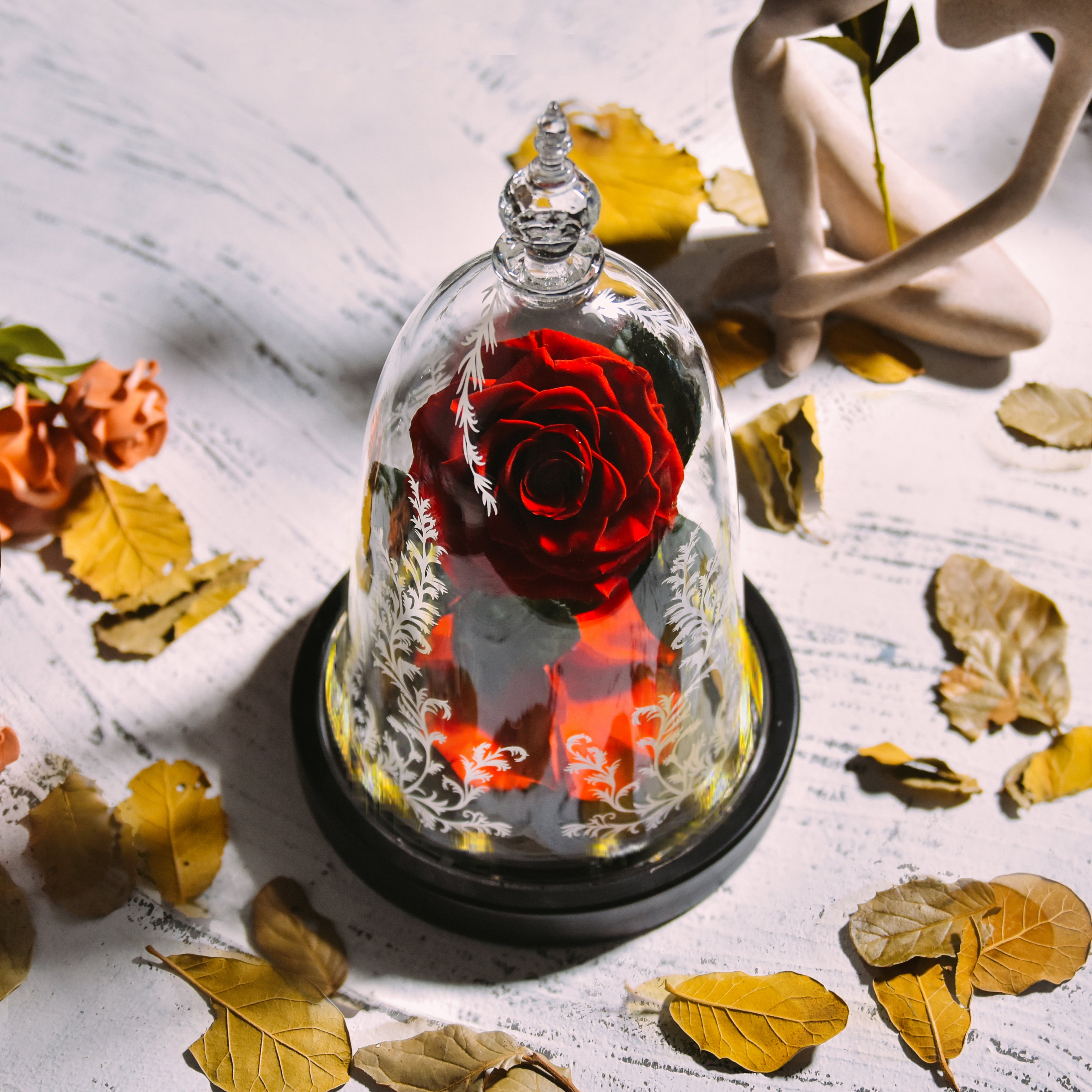 Beauty And The Beast Beast Rose